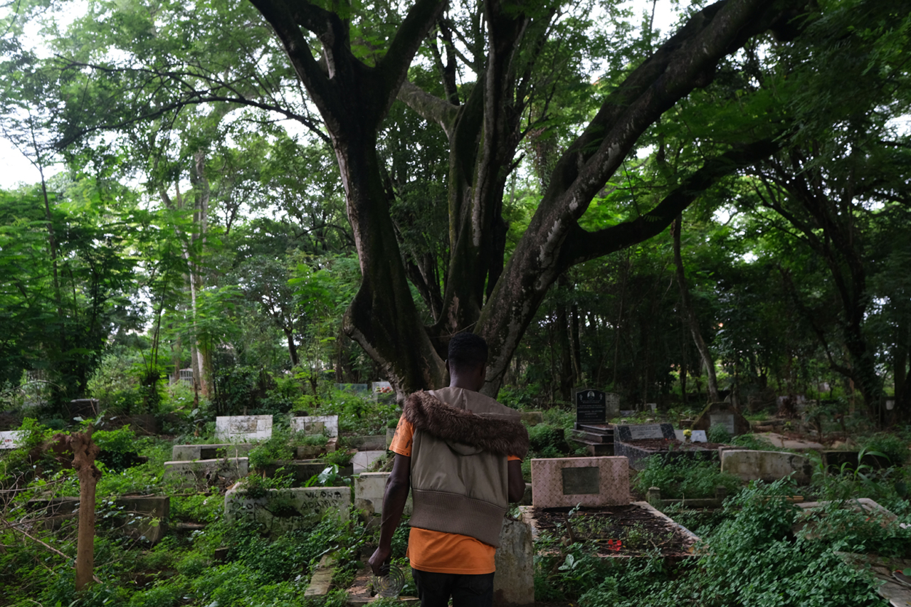 Field/Works II — Igi’bàdàn. Living with Trees in Ìbàdàn
